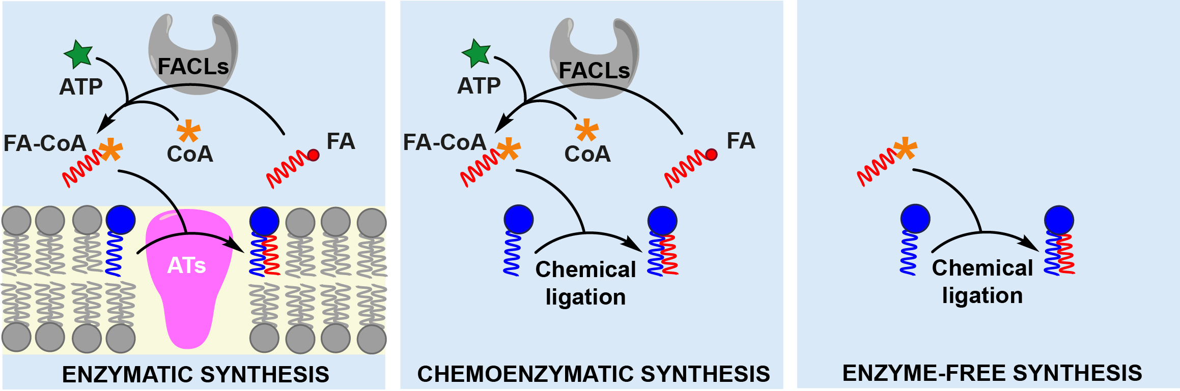 Publications – BioNanoChem
